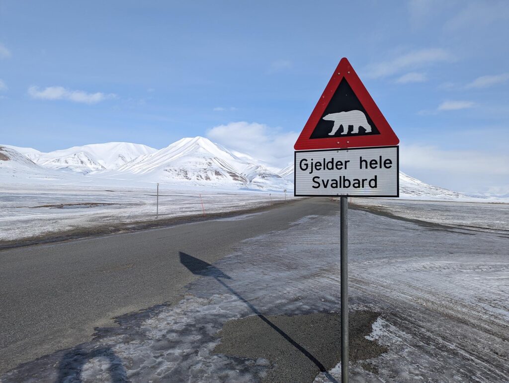 Polar Bear Signs Become Icons of and for Svalbard - The Monumentous